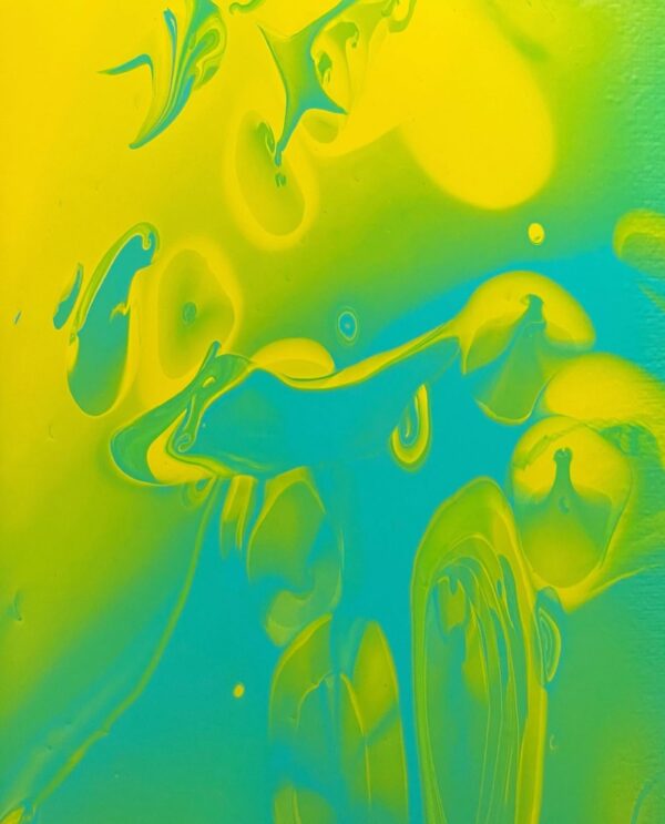 ABSTRACT NATURE! ~ MARCH BREAK Camp (Ages 6-11) - MacLaren Art Centre